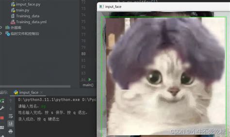 使用python的opencv实现人脸识别 opencv 人脸识别并显示对应中文姓名 csdn博客