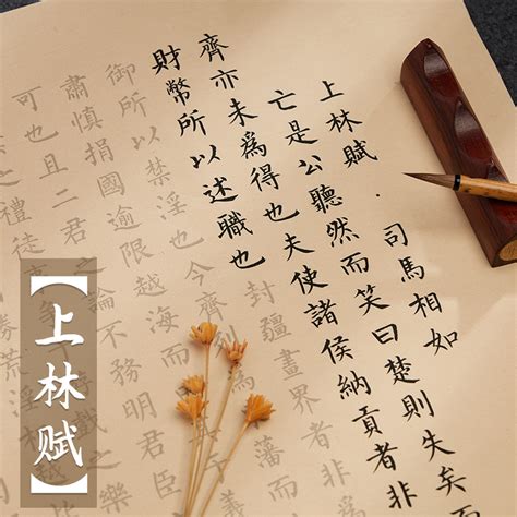上林赋楷书临摹打印 楷书字帖打印 上林赋字帖 大山谷图库