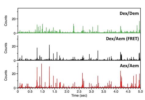 Single Molecule Detection Smd Picoquant