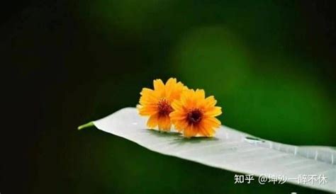 他达拉非能治好性功能障碍吗，他达拉非片的作用及功效副作用 知乎