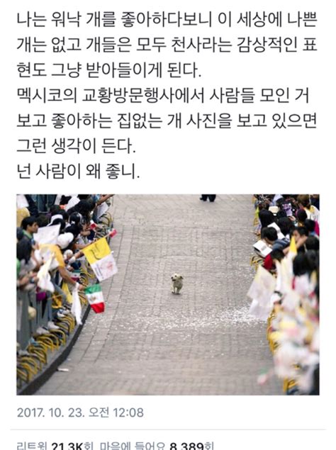 우울할 때 꺼내보는 짤들 짤방백과 ＊여성시대＊ 차분한 20대들의 알흠다운 공간