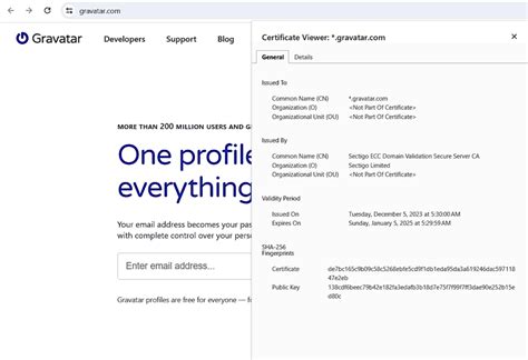San Vs Wildcard Ssl Certificate Whats The Difference Comodo Ssl