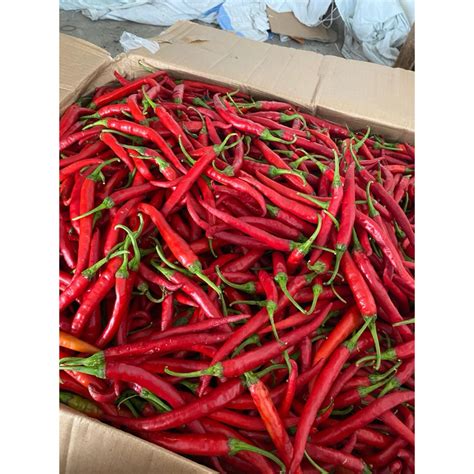 Jual Cabe Merah Besar Tw 1 Kg Shopee Indonesia