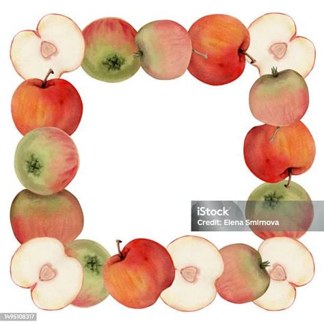 손으로 그린 수채화 사과 과일 잘 익은 전체 및 조각 빨간색과 녹색 정사각형 프레임 구성 흰색 배경에 격리된 개체입니다 벽 예술 결혼식 인쇄 직물 표지 카드를위한 디자인