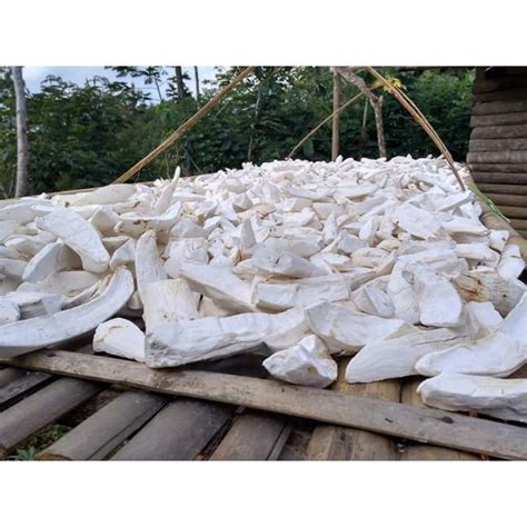 Jual Tepung Gaplek 5kg Shopee Indonesia
