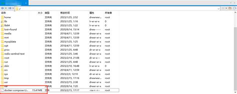 Docker Compose安装docker Compose Plugin路径 Csdn博客