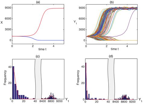 a numerical solution of the deterministic model 16 with initial
