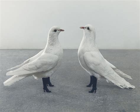 Exhibition Bárbara Sánchez Kane And Sofía Alazraki Fortuna Y Fetiche News Kurimanzutto