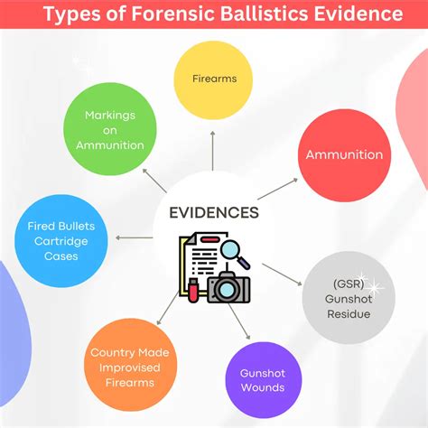 What Is Forensic Ballistics In Anthropology Anthroholic