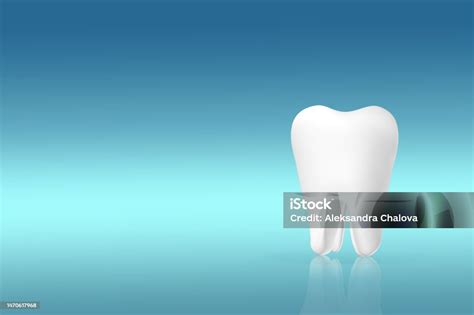 파스텔 블루 배경에 치아 흰색 어금니 모델 치아 기호 기호입니다 치과 개념 사진입니다 심다 치열 교정 교정 치과 테마 치과 의료