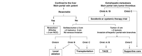 Treatment Algorithm Of Hcc Download Scientific Diagram