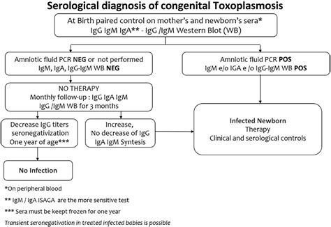 Congenital Toxoplasmosis Rash