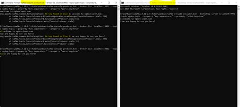 kafka producer consumer command line message send receive sample ngdeveloper