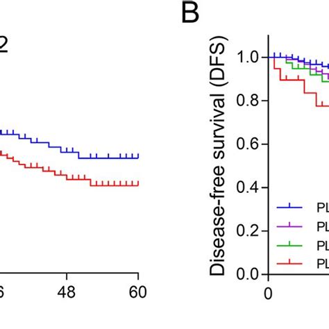 Negative Correlation Of Plk4 Expression With Os Comparison Of Os Download Scientific Diagram