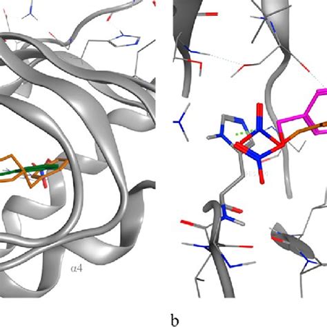 A 3d Superposition Of The Best Docked Pose For 9 Orange And 11 Download Scientific Diagram