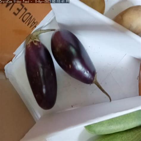 Vegetable Instancesegmentation Instance Segmentation Dataset And Pre