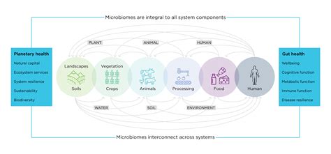 Microbiome To Showcase Capability In The Microbiome Science Capability