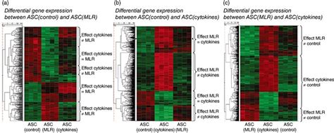 Hierarchical Clustering Of Genes Up Red And Down Regulated Green Download Scientific