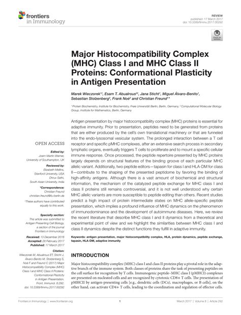 Pdf Major Histocompatibility Complex Mhc Class I And Mhc Class Ii Proteins Conformational