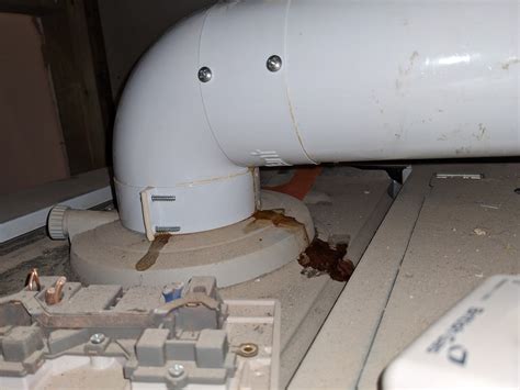 Water Dripping Out Of Flue And Into Boiler An Easy Fix For DIYer DIYnot Forums