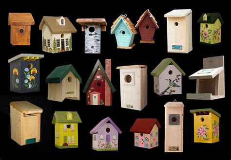 Different Types Of Bird Houses