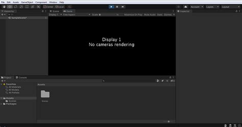 just installed unty 2020 3 6f1 and its showing display 1 no camera