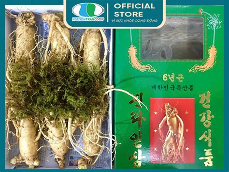 Sâm Tươi Hàn Quốc Hộp 4 Củ 1 Kg Nguyentrancoopvn
