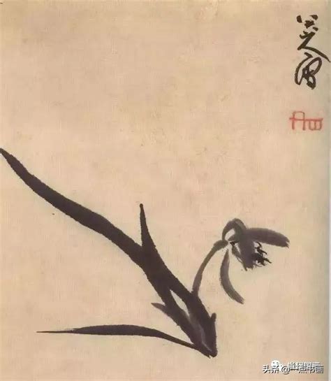 八大山人筆下的花別開生面直指人心 每日頭條