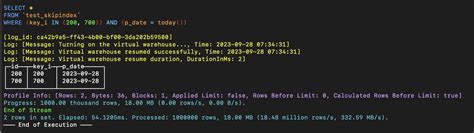 Data Skipping Index ByteHouse Byteplus