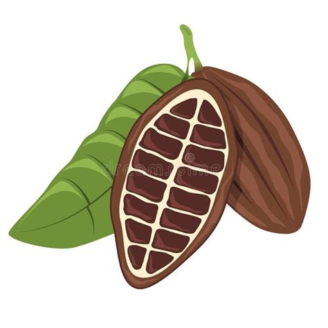 Cocoa Bean Crop Stock Illustrations 1155 Cocoa Bean Crop Stock Illustrations Vectors