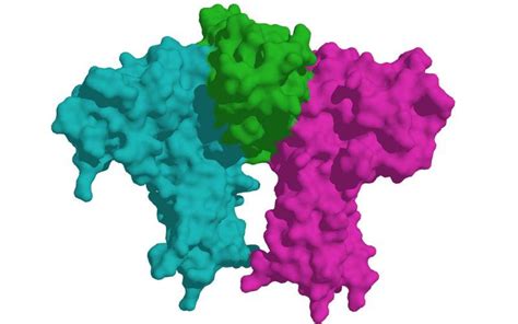 Eritropoyetina EPO qué es características mecanismo funciones