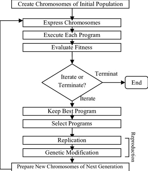 The Flowchart Of A Gep 12 Download Scientific Diagram
