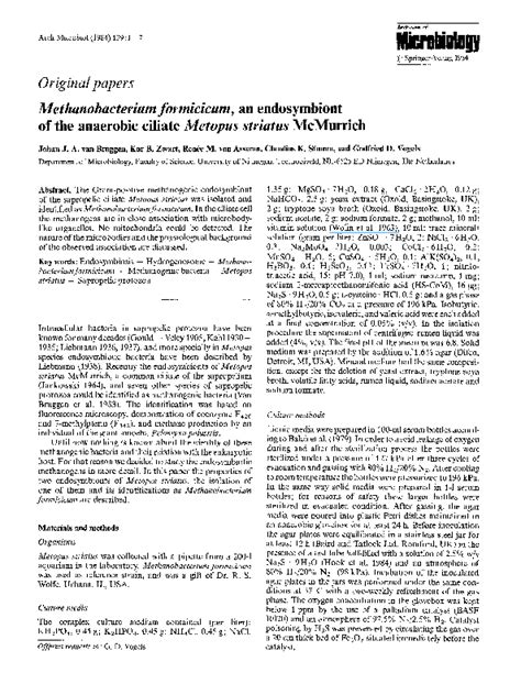 Pdf Methanobacterium Formicicum An Endosymbiont Of The Anaerobic Ciliatemetopus Striatus