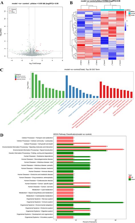 Bioinformatics Analysis In The Hippocampus Of Hfdstz Induced T2dm Download Scientific Diagram