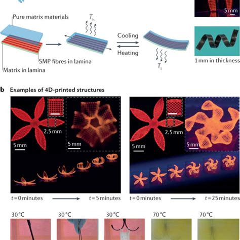 Yihui Zhang Professor Phd Tsinghua University Beijing Th Department Of Engineering
