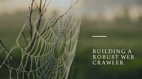 Creating A Robust Web Crawler Using Scrapy And Flask