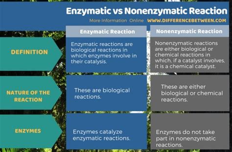 Difference Between Enzymatic And Nonenzymatic Reaction Compare The Difference Between Similar