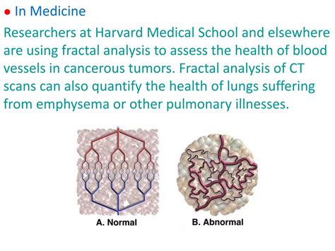 Fractals In Physics Ppt