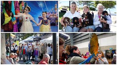 What S On In Illawarra This Weekend Disney On Ice Festivals More Illawarra Mercury