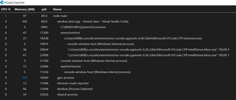 C Visual Studio Code Unusually Slow Stack Overflow