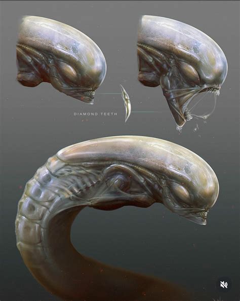 Alien Romulus Chestburster Design Alien Romulus Concept Art Images