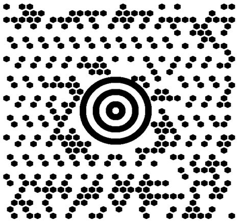 Complex Maxicode Settingsdocumentation