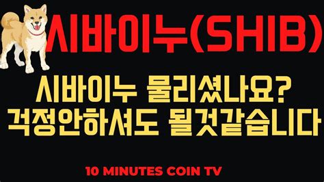 시바이누 물리신분들 걱정하지마세요 Youtube