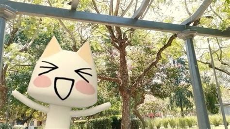 Pin By ★torolover★ On Pins By You Cute Laptop Wallpaper Pretty