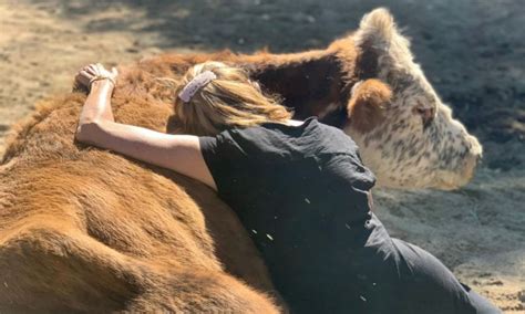 Hugging Cows A Qanda With The Gentle Barn Founder Ellie Laks