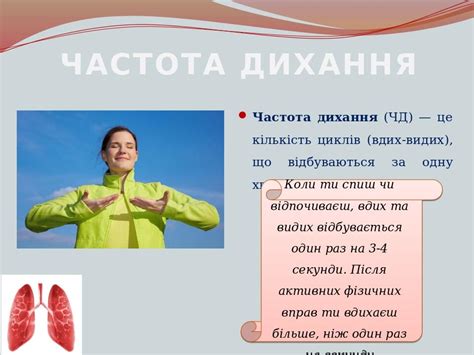 Презентація Дихальні рухи Нейрогуморальна регуляція дихання 8 клас Презентація Біологія