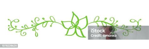 녹색 벡터 손으로 그린 붓글씨 구분자입니다 봄 번 창 디자인 요소입니다 인사말 카드 웹 결혼식 및 인쇄에 대 한 꽃 빛 스타일 장식 흰색 배경 서 예 및 글자 그림에 절연