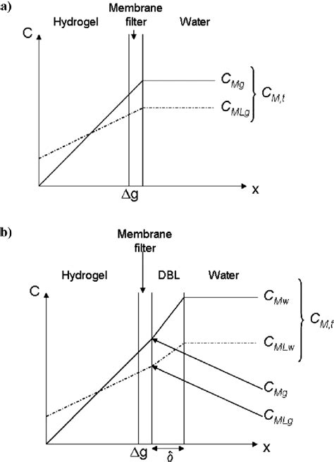 Concentration Gradient Graph