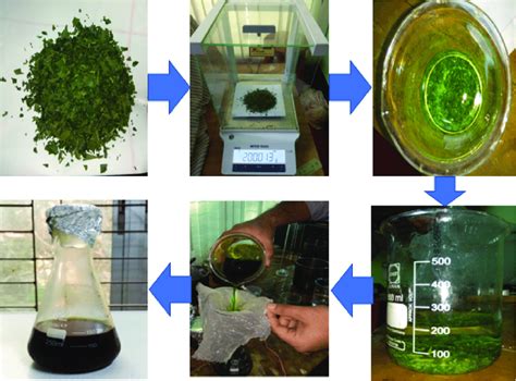 Extract Preparation Process Of Neem Download Scientific Diagram
