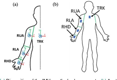 Figure 1 From Magnetic Free Quaternion Based Robust Unscented Kalman Filter For Upper Limb